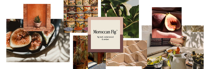 Moroccan Fig